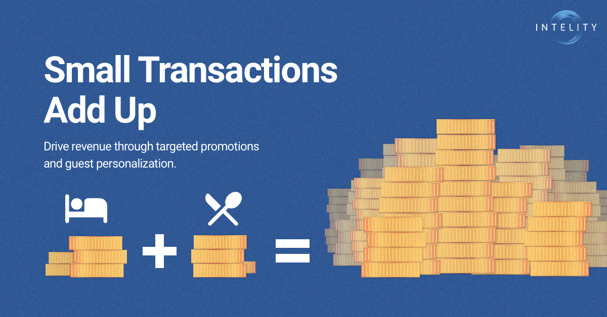 Small Transactions Increase Revenue & Experience - INTELITY